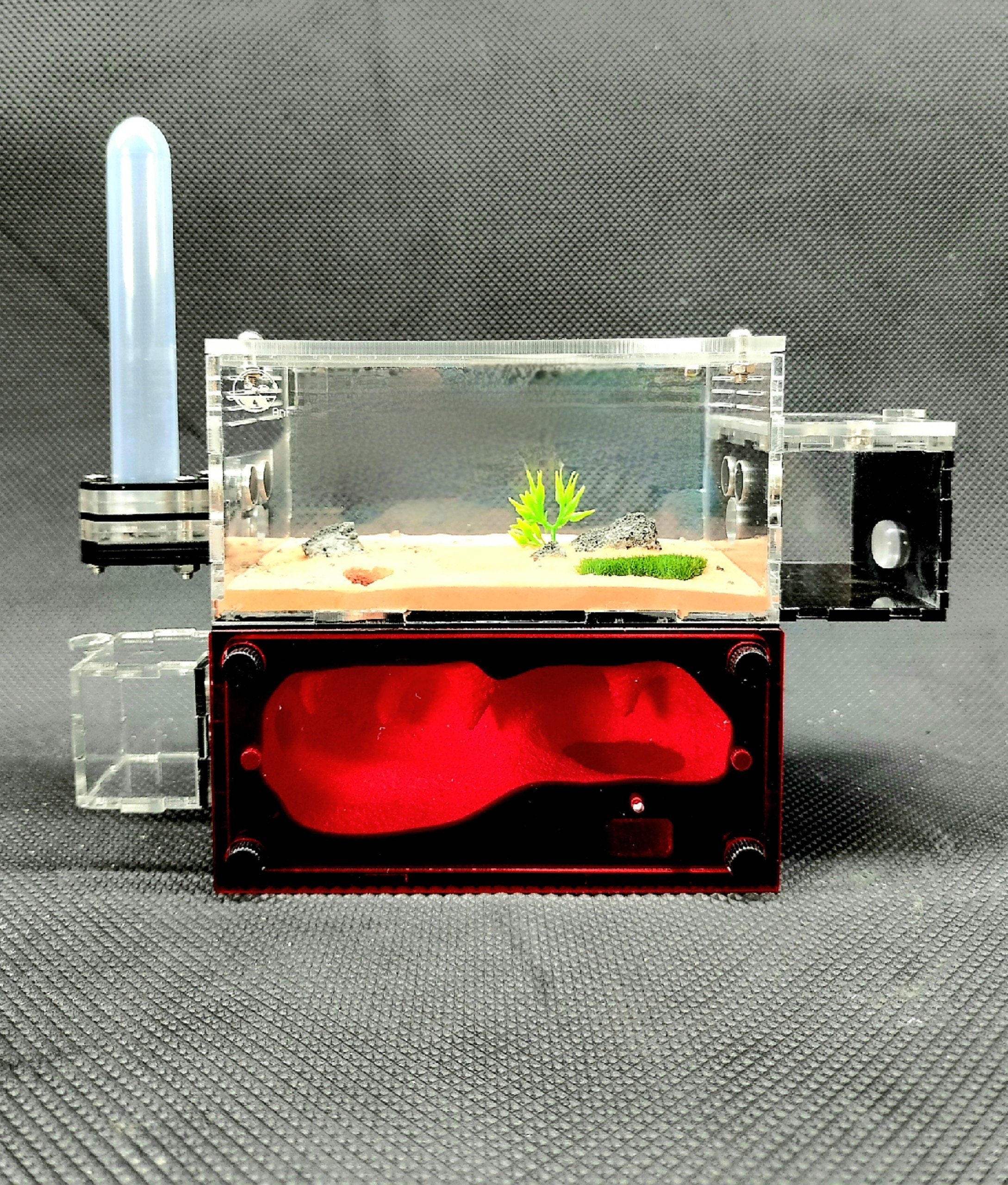 Ant Tank/ant Farm - Stand Nest H02 - Full Option - New Version - Etsy