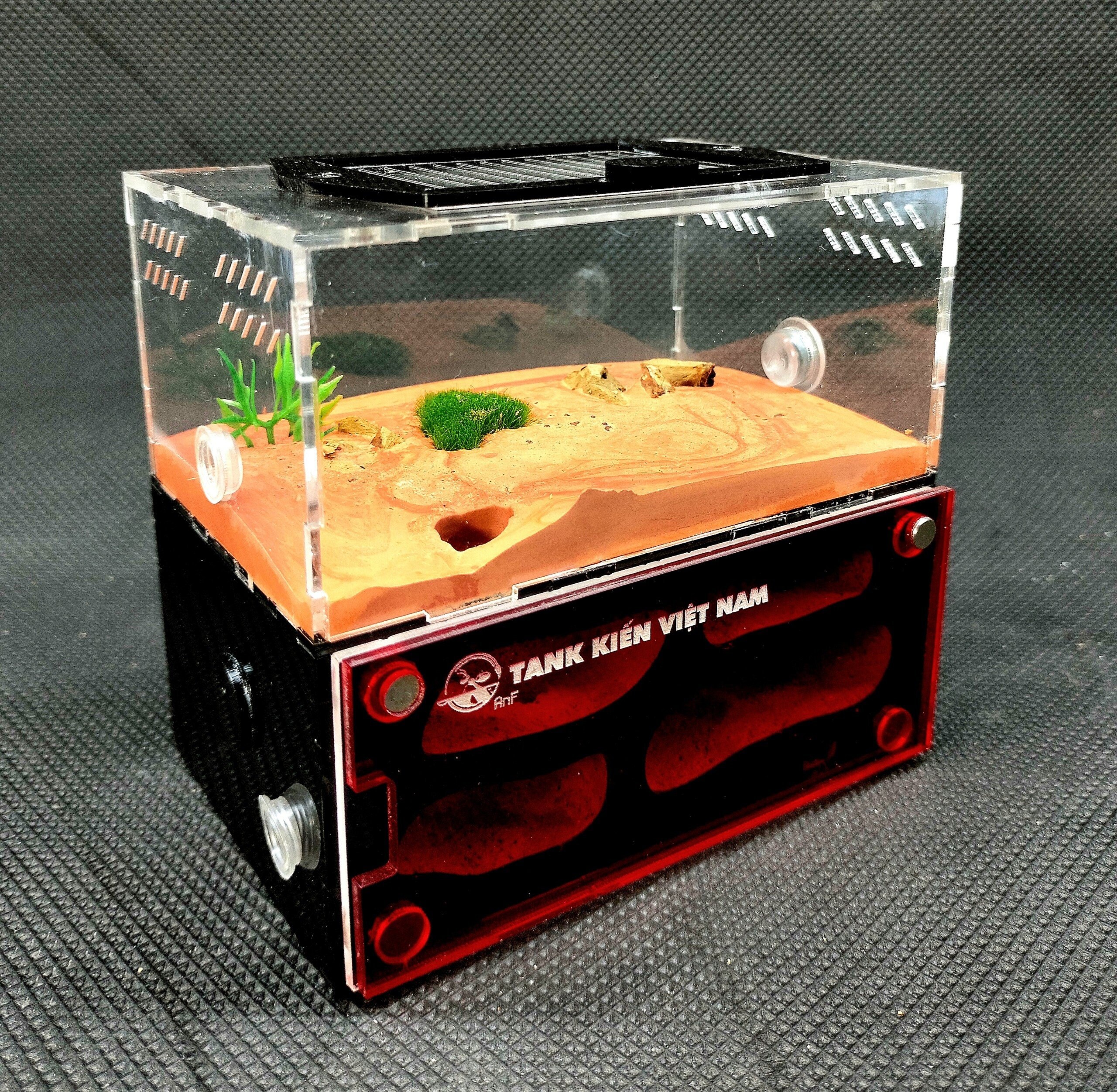 Ant Tank/ant Farm - Stand Nest D01 - Full Option - Etsy