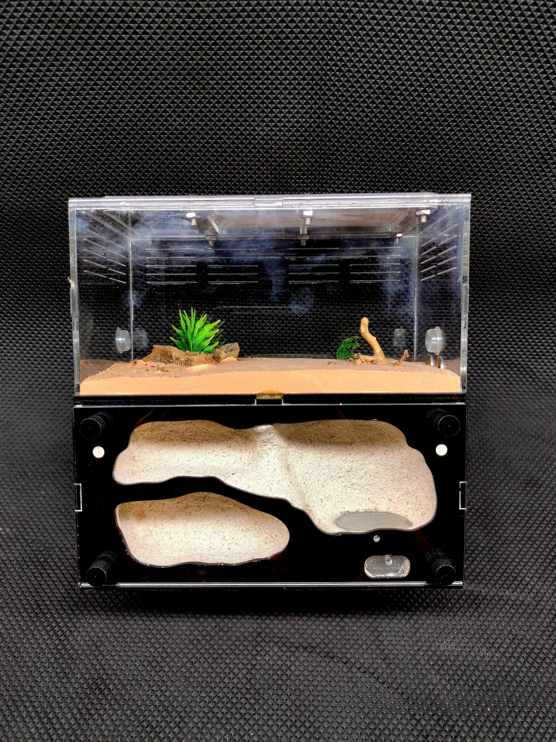 Ant Tank/ant Farm - Stand Nest H03 - Full Option - New Version - Etsy