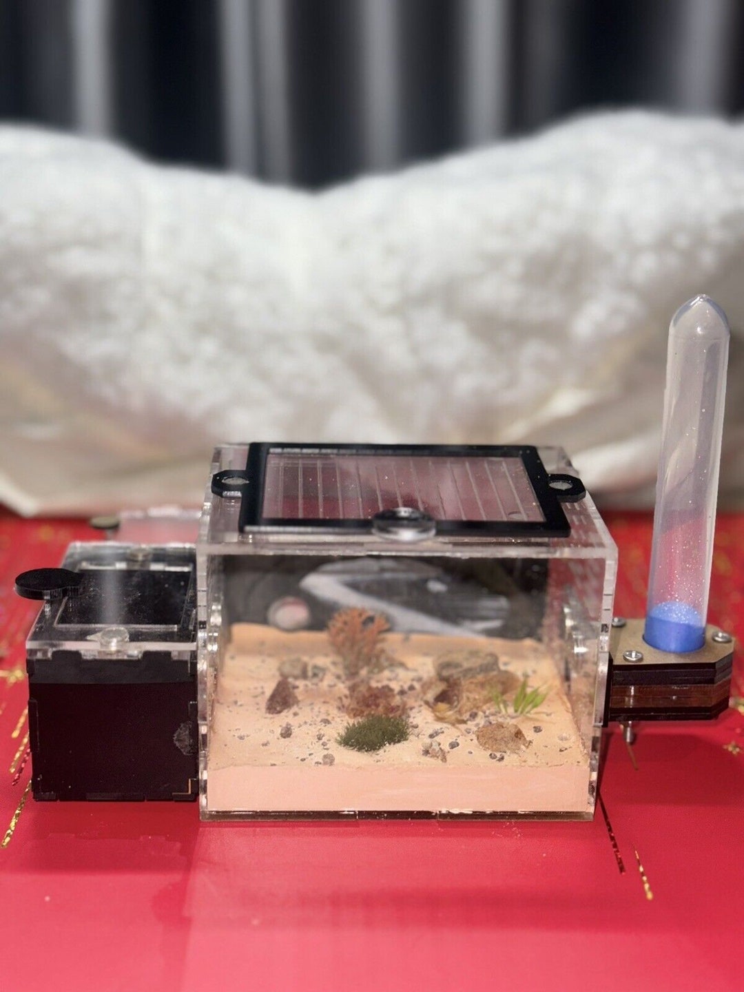 Ant Tank/ant Farm Nest N01 Full Option - Etsy