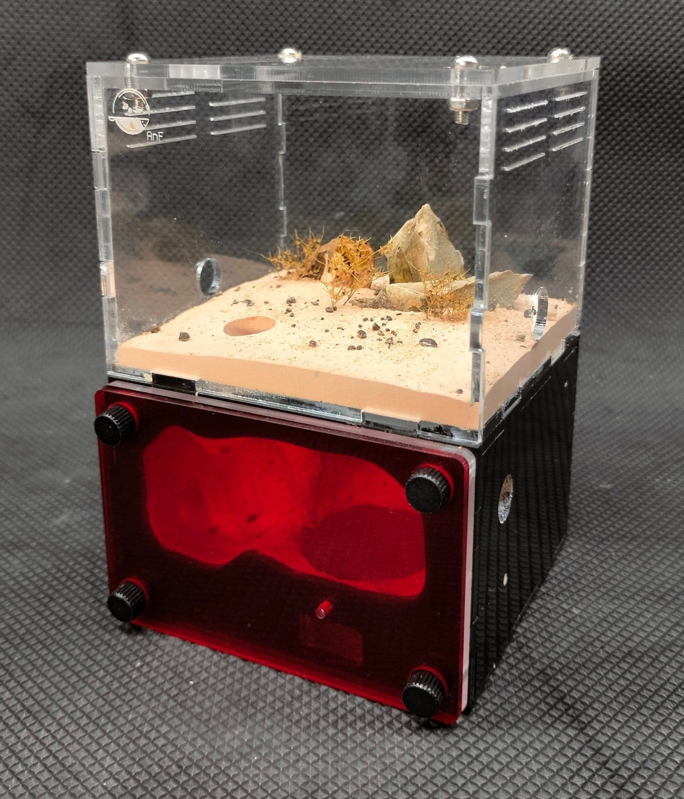 Ant Tank/ant Farm Stand Nest H01 Full Option New Version - Etsy