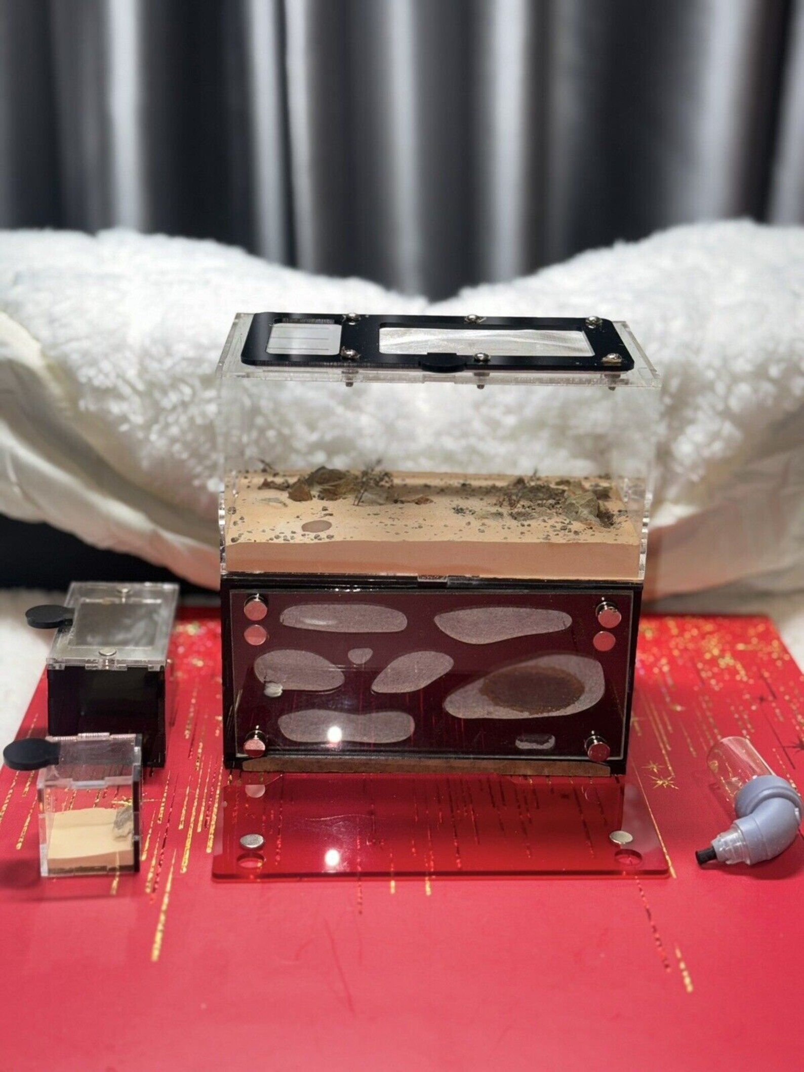 Ant Tank/ant Farm Nest D02 Full Option - Etsy