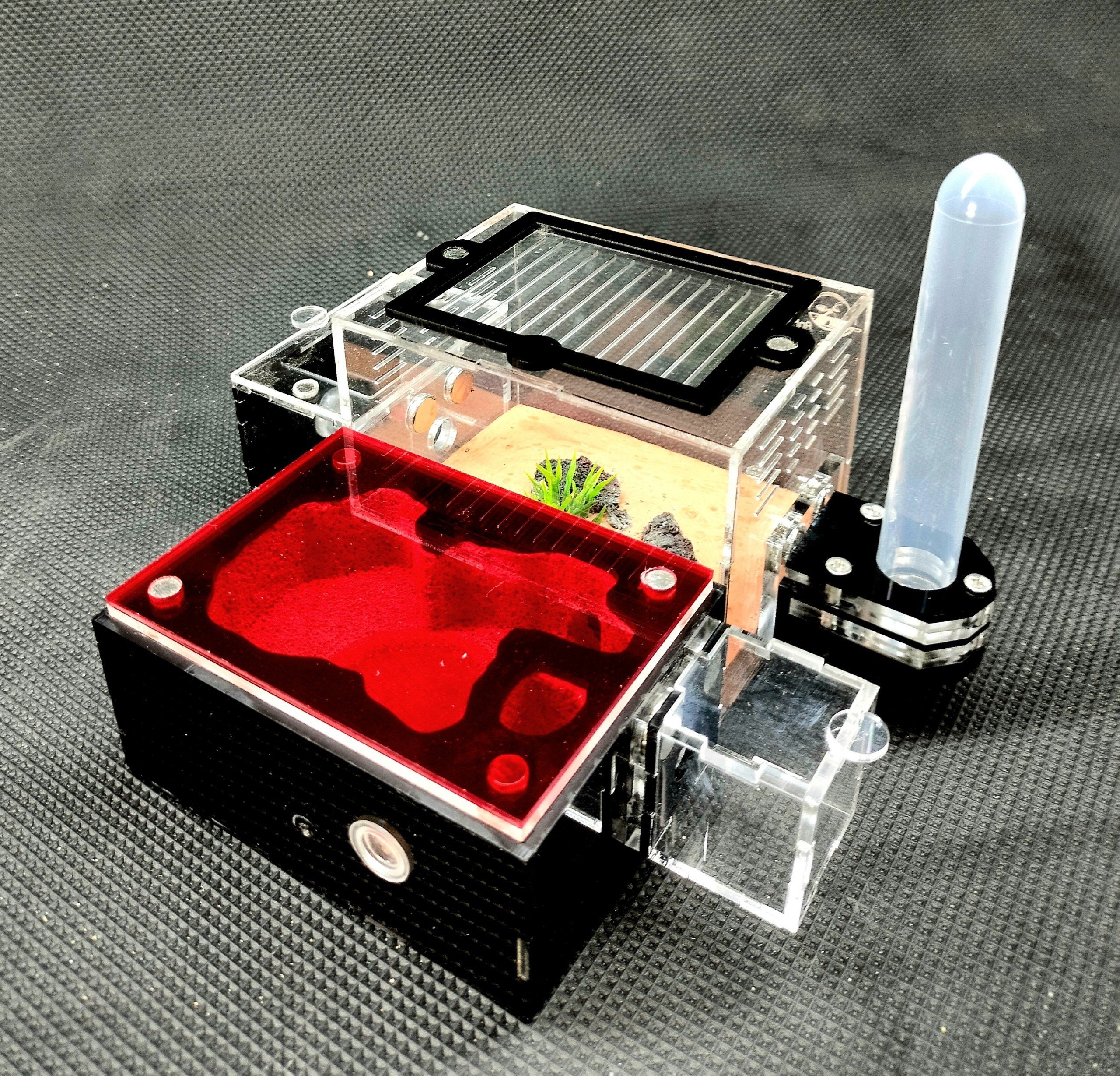 Ant Tank/ant Farm - Nest N01 - Full Option - Etsy