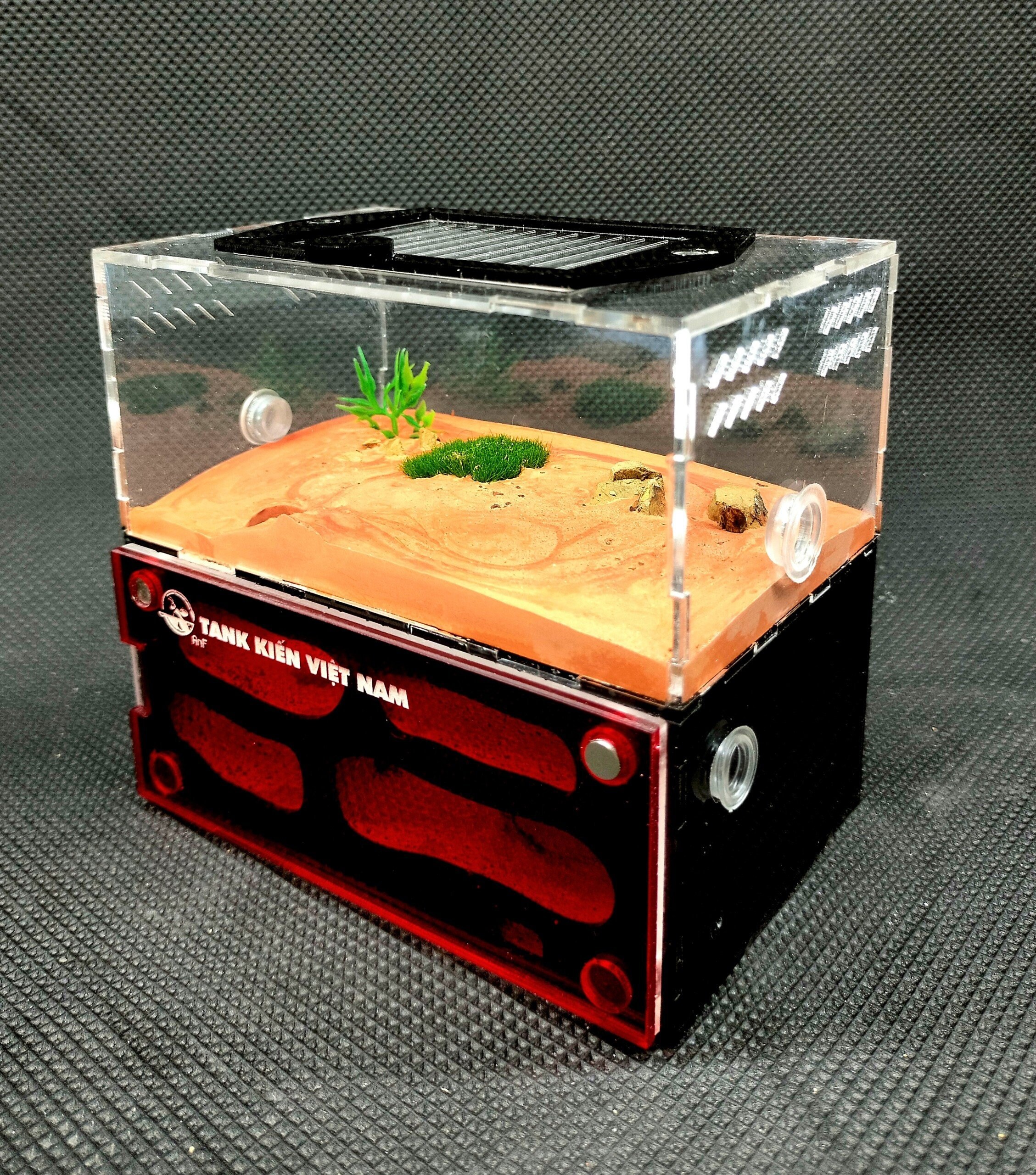 Ant Tank/ant Farm - Stand Nest D01 - Full Option - Etsy