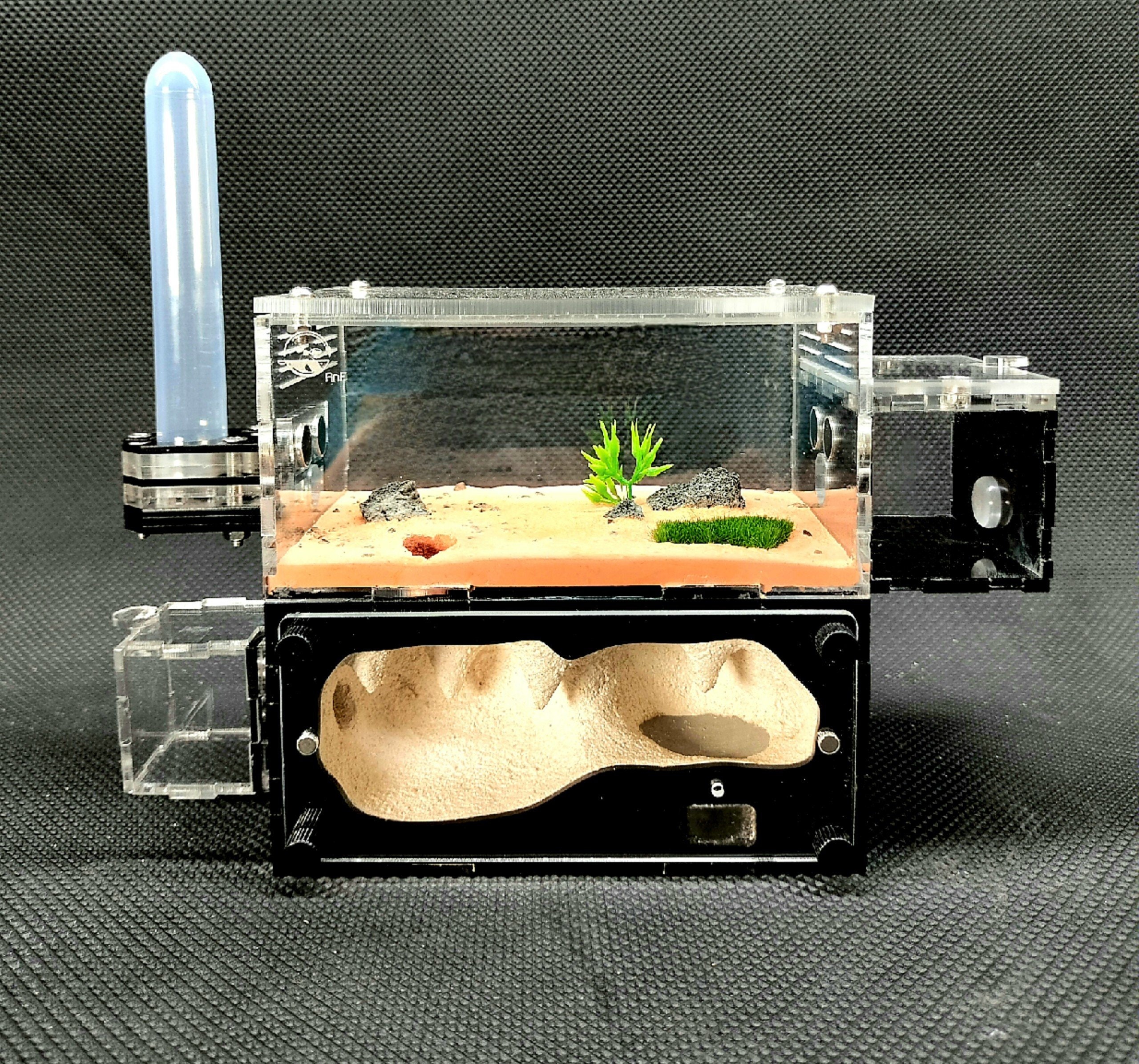 Ant Tank/ant Farm - Stand Nest H02 - Full Option - New Version - Etsy