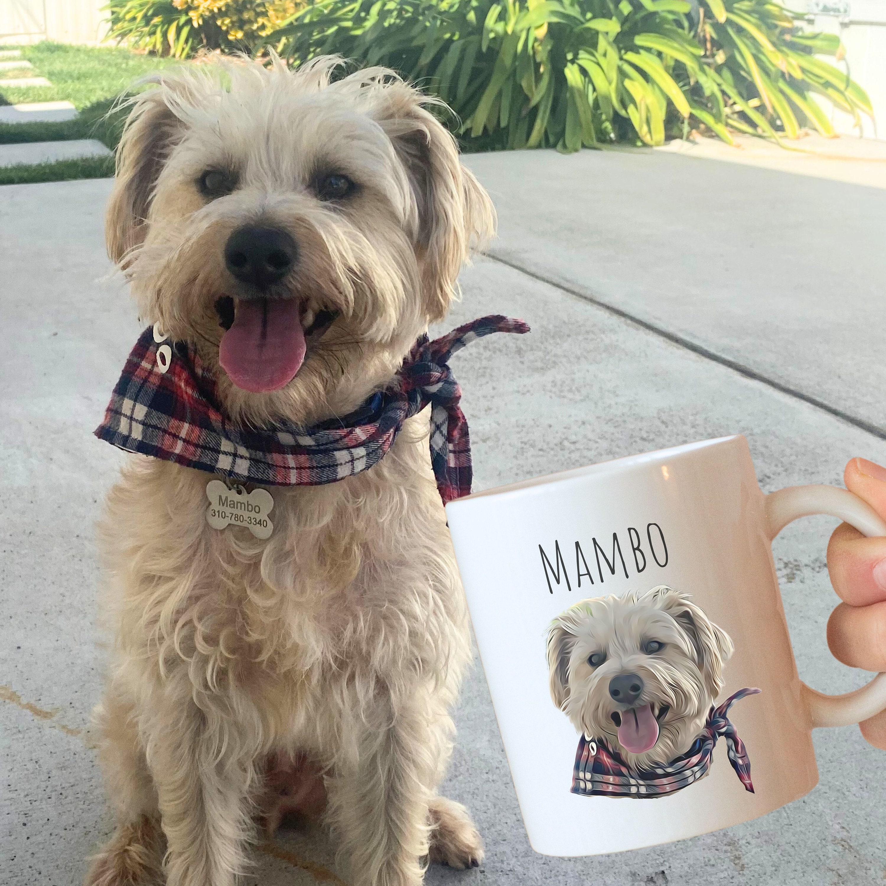 Custom Dog Mug Using Pet Photo, Personalized Dog Mug, Custom Pet Mug ...