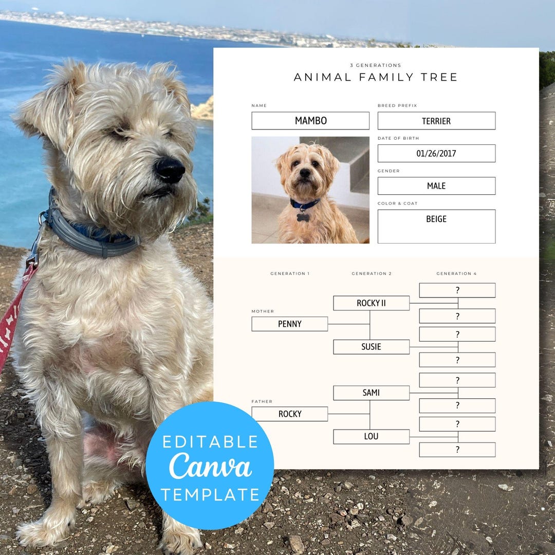 Animal Family Tree Custom Family Tree History Personslize Animal Print ...