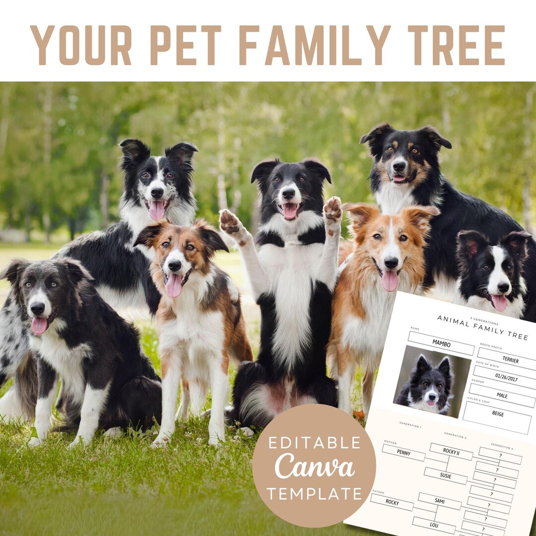 Family Tree Chart. Pedigree Chart. Genealogy Animal Family Tree Custom ...