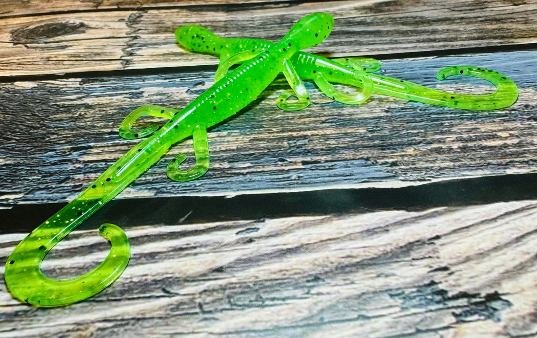 6.2 Inch Epic Lizard 8 Pack - Etsy