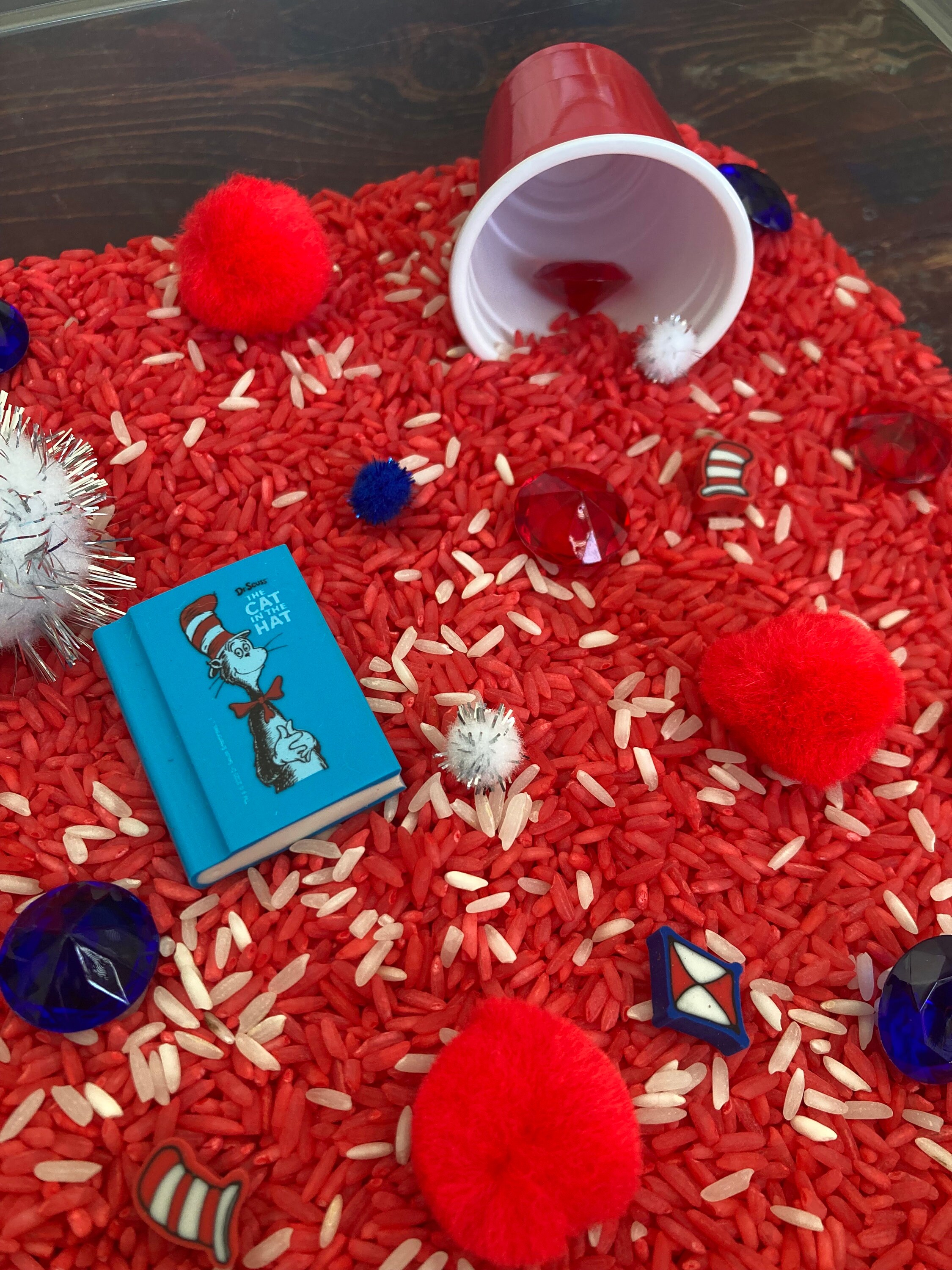 Cat in the Hat Sensory Kit - Etsy