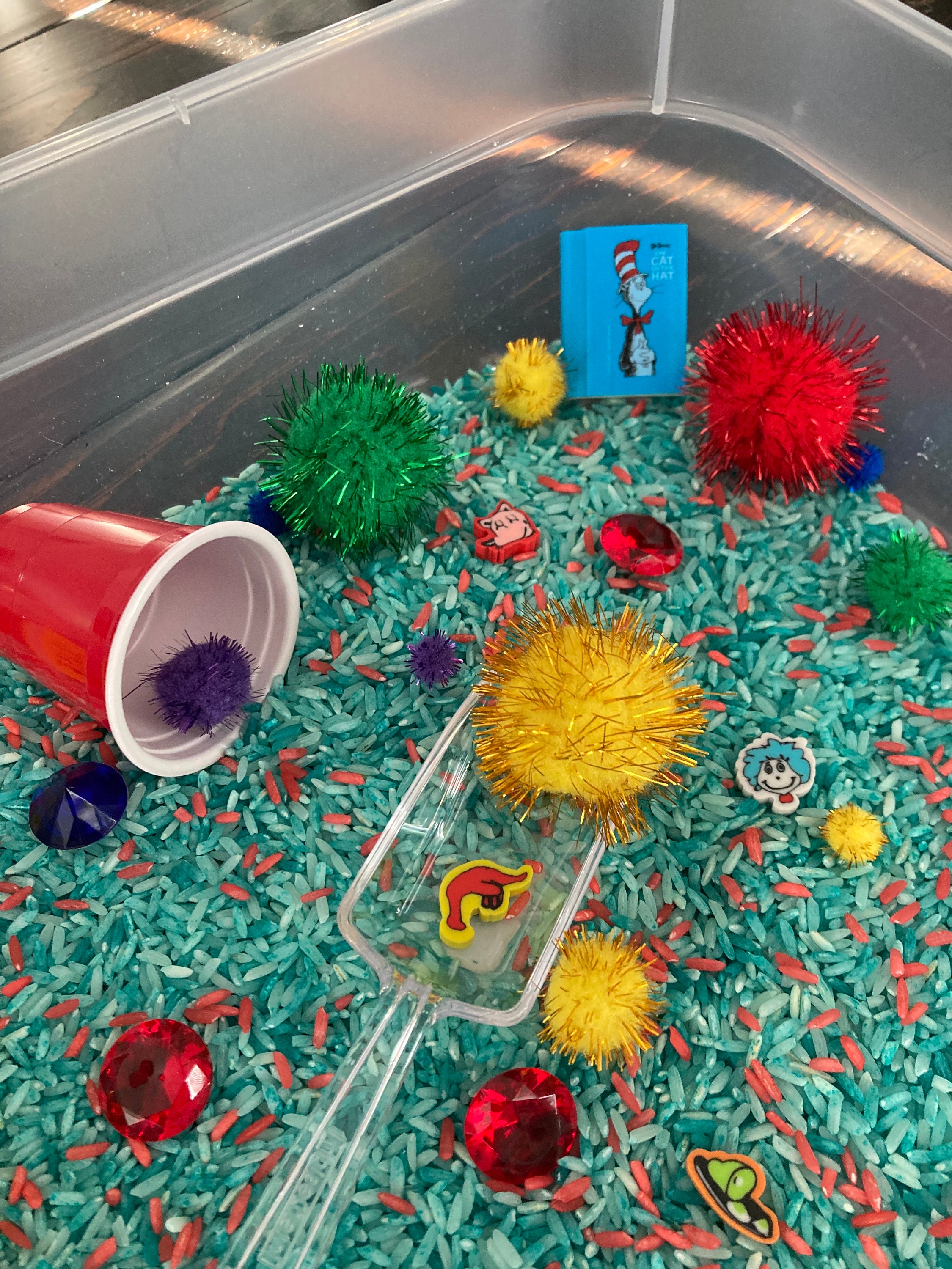 Dr. Seuss Sensory Kit - Etsy