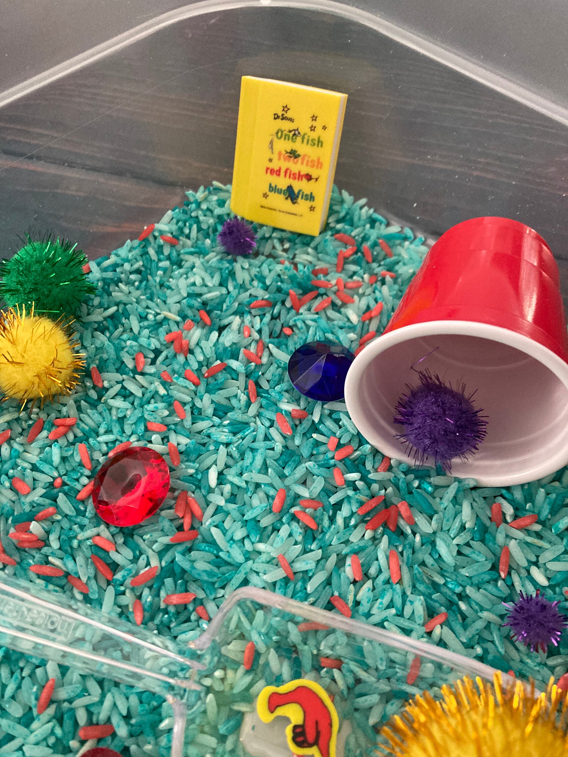 Dr. Seuss Sensory Kit - Etsy
