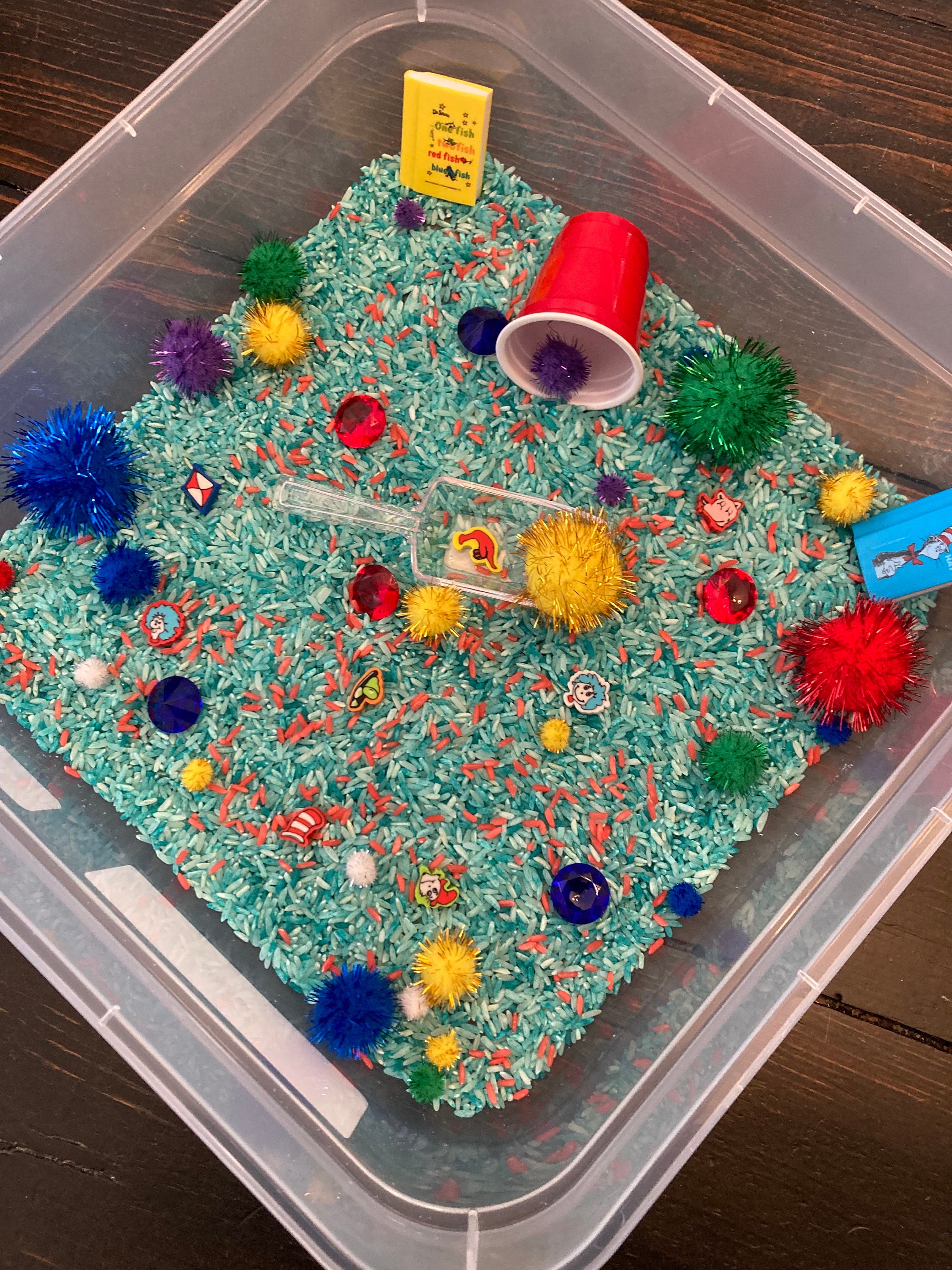 Dr. Seuss Sensory Kit - Etsy