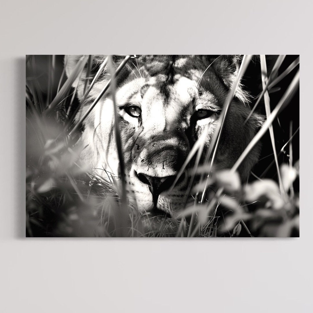 Lion Frame, Animal Sauvage Style Artwork, Horizontal Landscape, Art ...