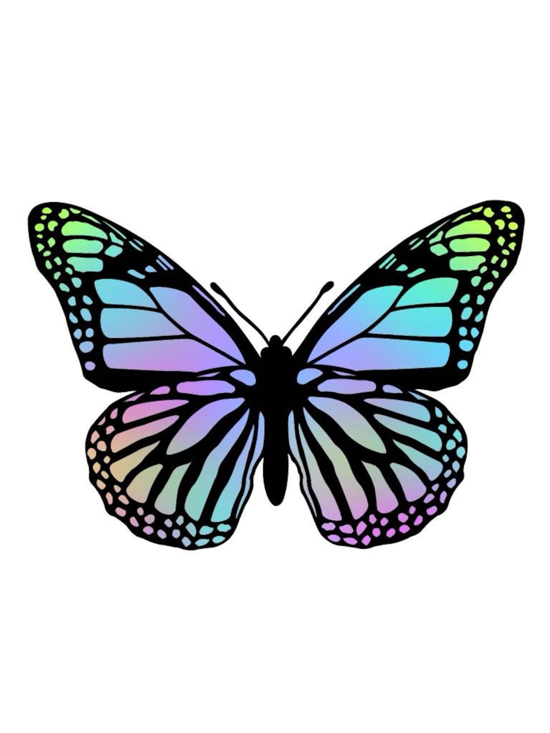 Butterfly - Rainbow - Vinyl Sticker - Etsy