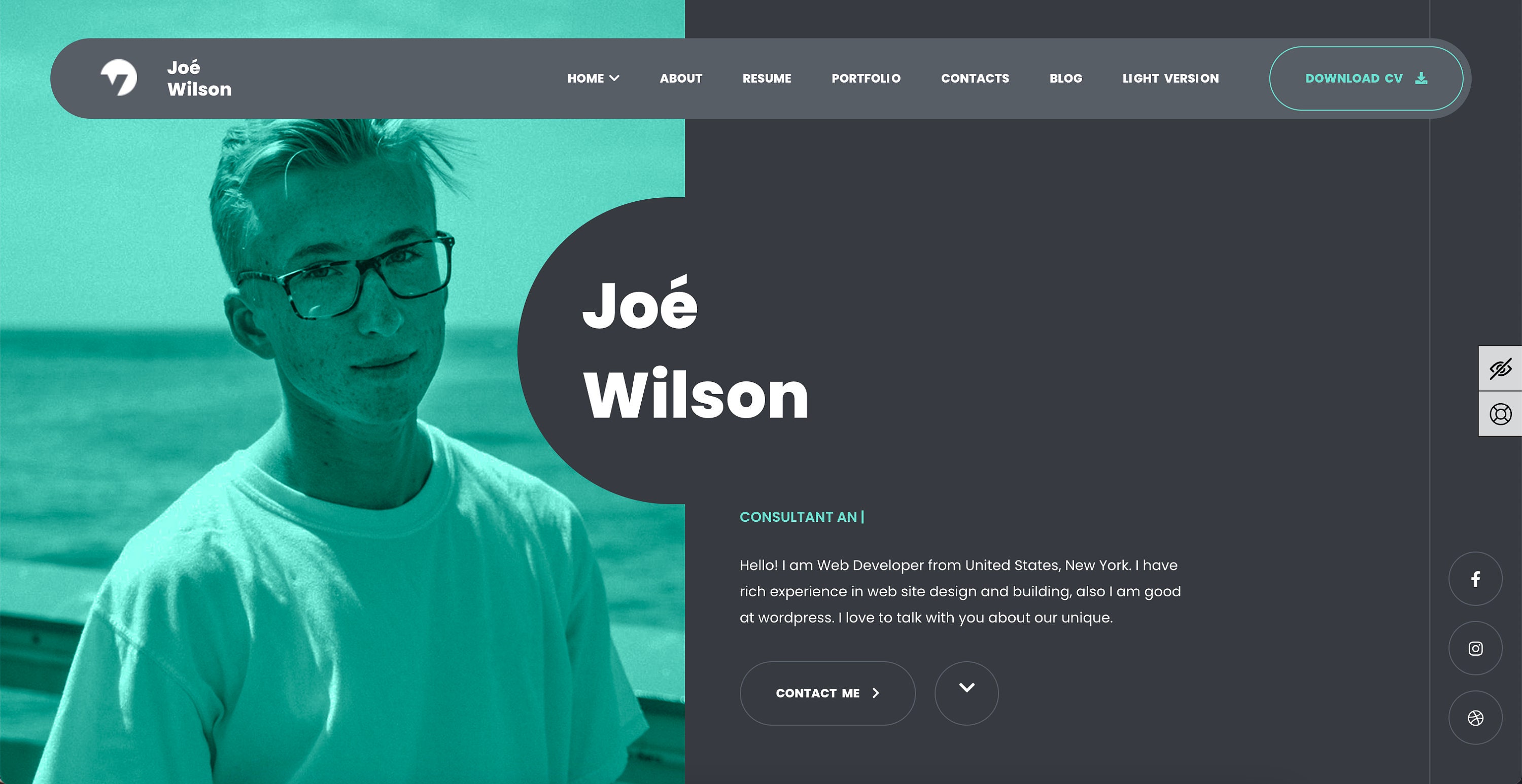 Myour Personal Portfolio Resume Wordpress Elementor Theme CV Resume ...
