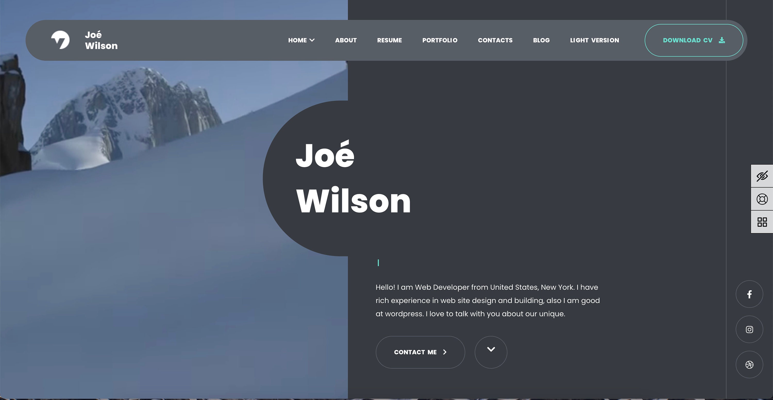 Myour Personal Portfolio Resume Wordpress Elementor Theme CV Resume ...