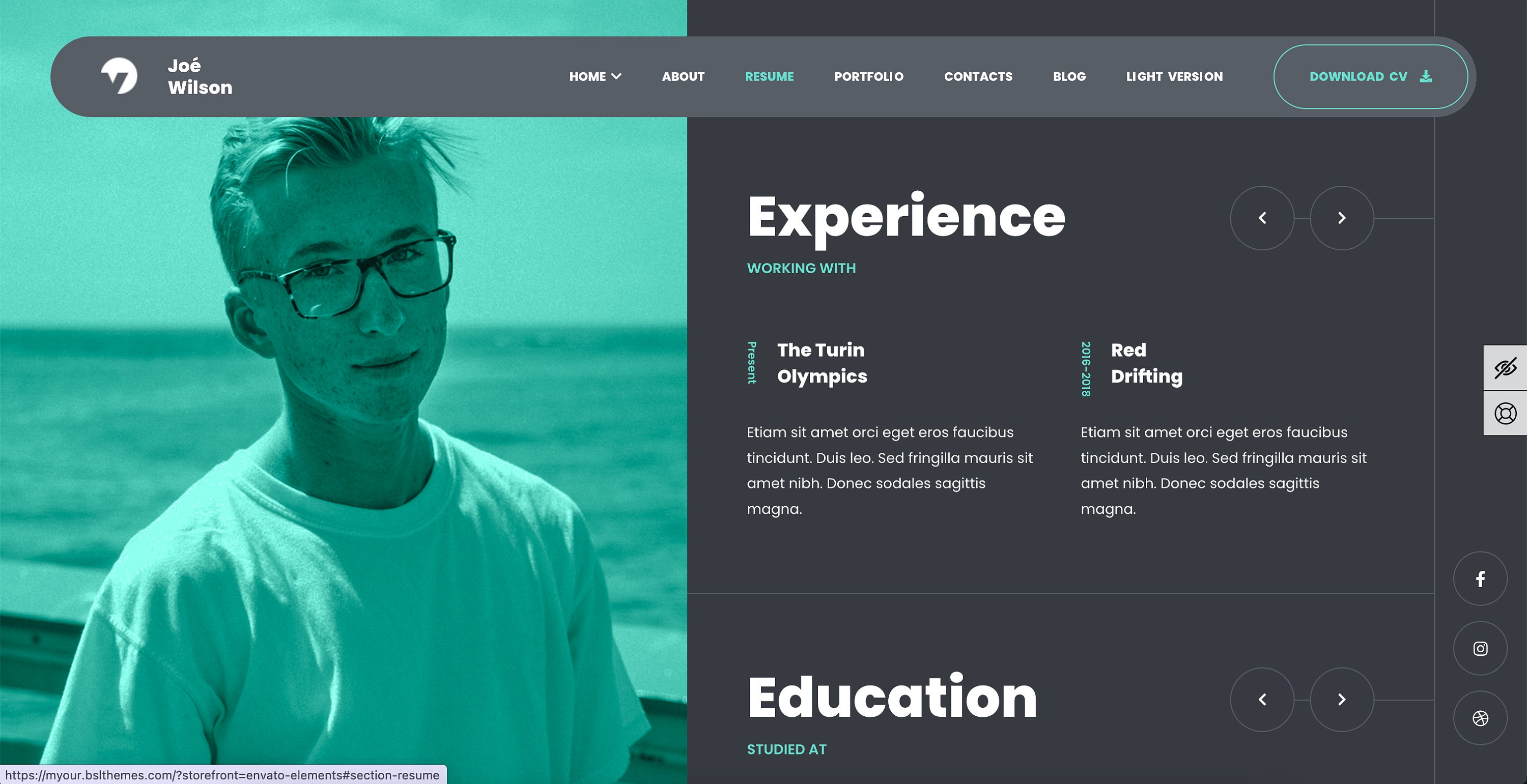Myour Personal Portfolio Resume Wordpress Elementor Theme CV Resume ...