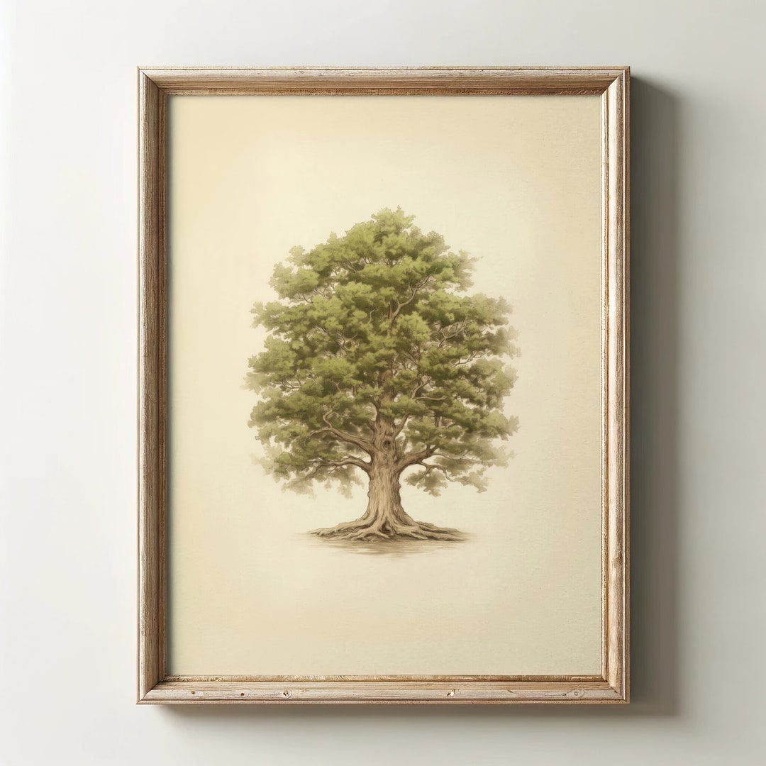 Red Oak Tree Line Drawing: Oak Tree Art Print, Nature Wall Art, Digital ...