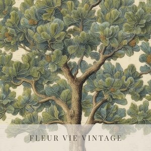 Vintage Fig Tree Botanical Print: Mediterranean Inspired Digital Art ...