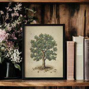 Vintage Fig Tree Botanical Print: Mediterranean Inspired Digital Art ...