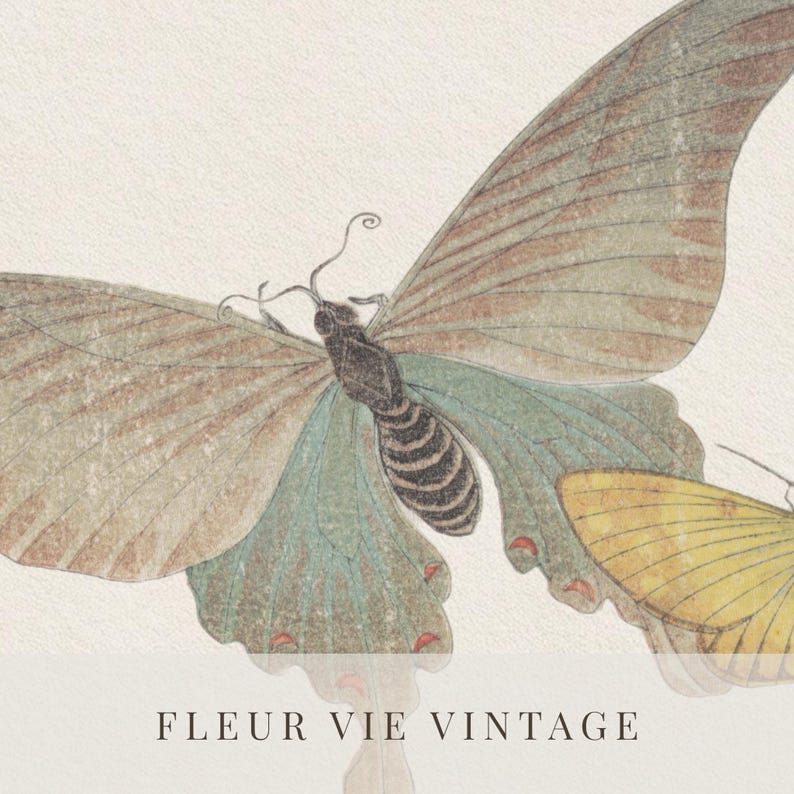 Vintage Butterflies Illustration: Cottagecore Neutral Wall Art Digital ...