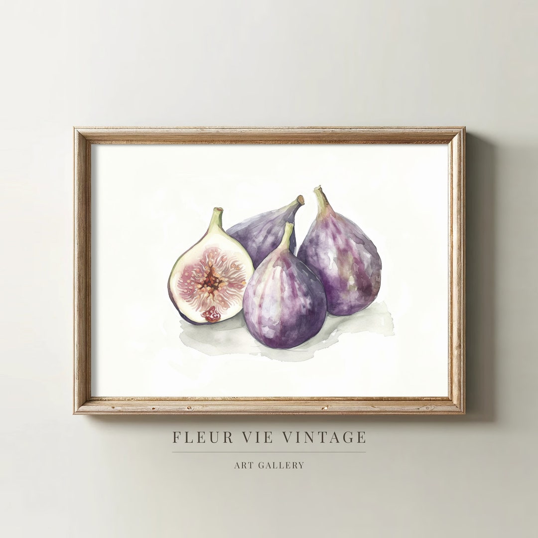 Figs Watercolor PRINTABLE Wall Art Fig Fruit Fig Drawing Muted Colors ...