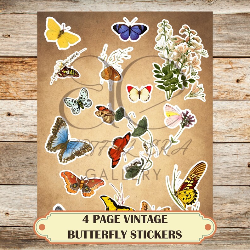 Vintage Butterfly Stickers: Retro Floral Pngs, Fussy Cuts (digital ...