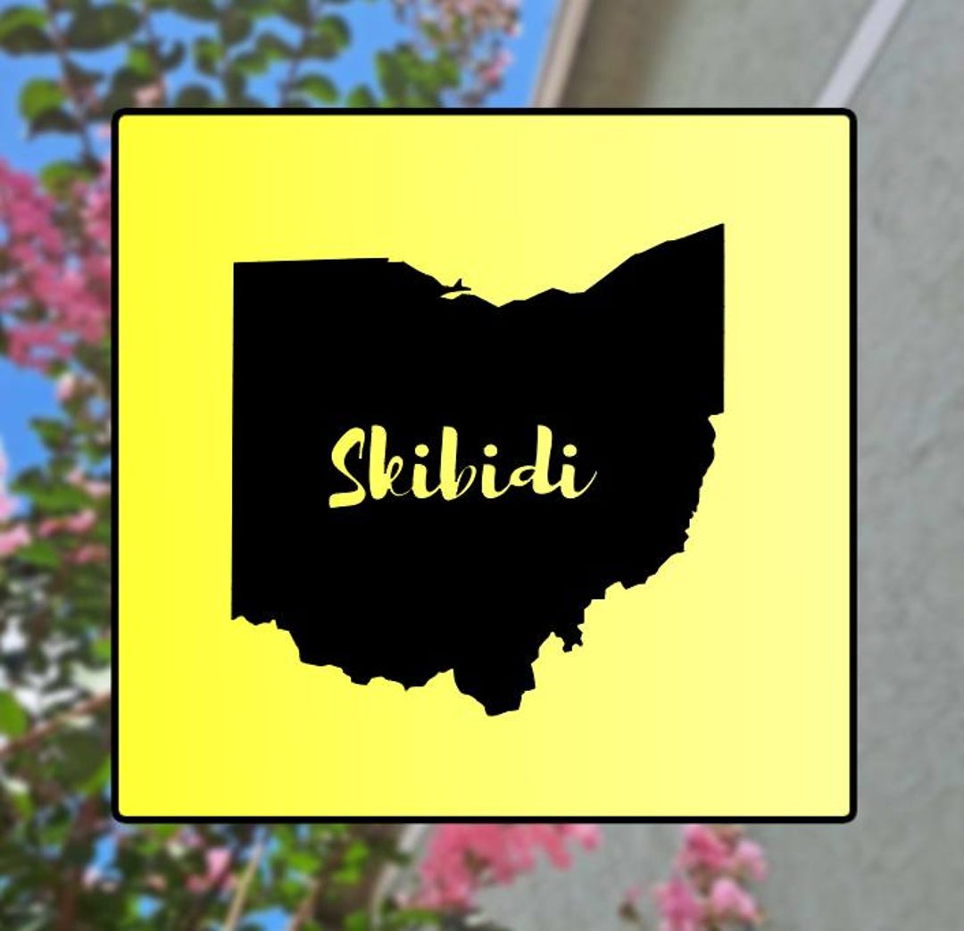 Vinyl Decal - Skibidi Ohio - Etsy