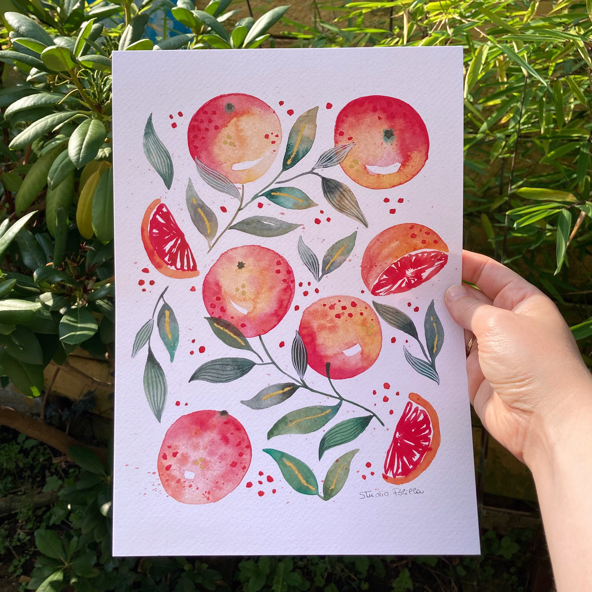 Blood Oranges Watercolor A4 Art Print - Etsy