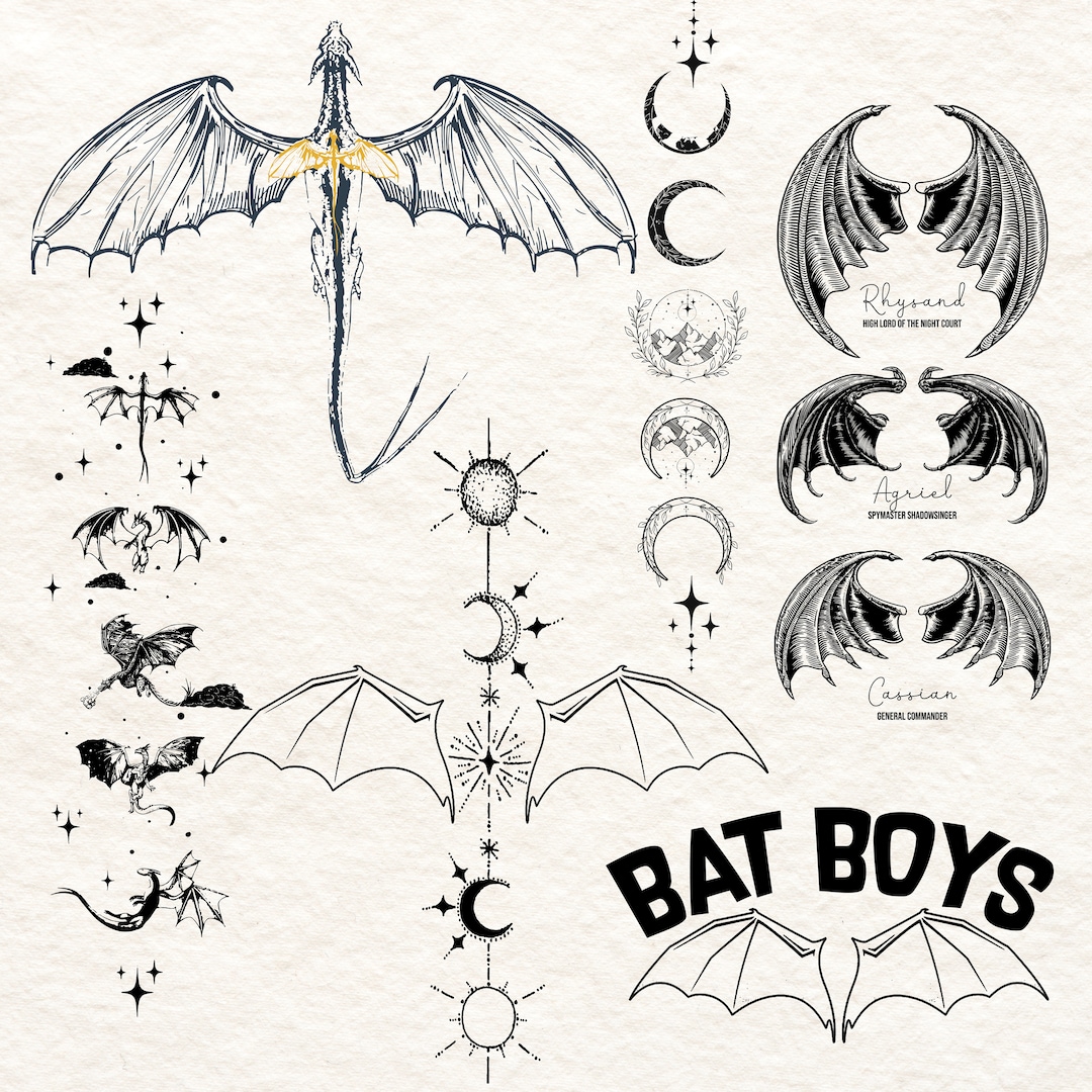 Fourth Wing Png, Multiple Acotar Fourth Wing Dragon Rider Design ...