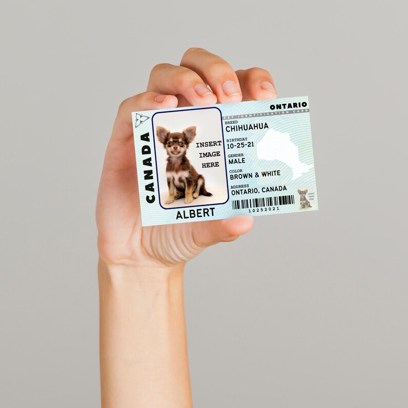 Custom Ontario Pet ID Card Digital Download & Editable in Canva ...