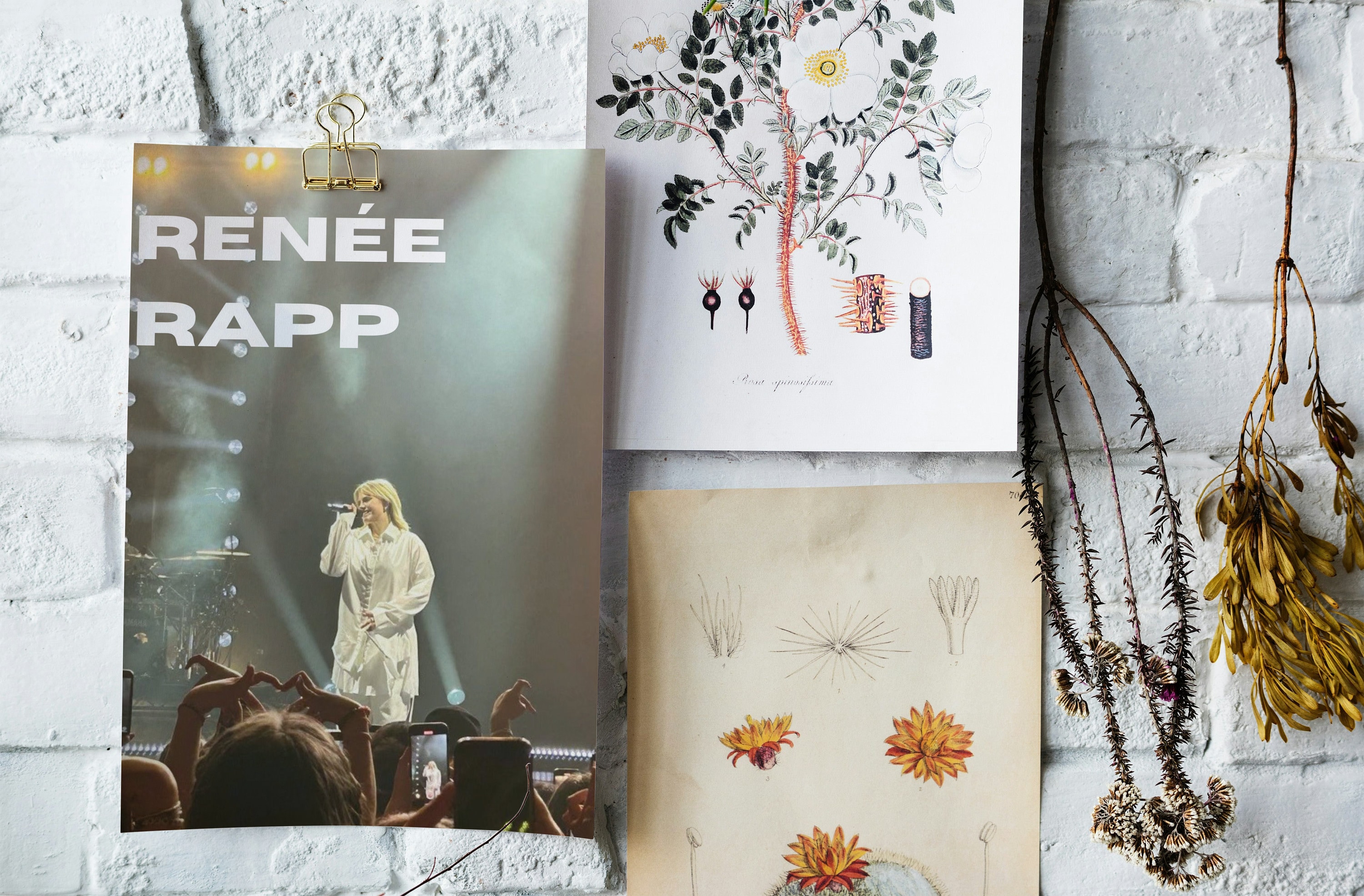 Renee Rapp Poster, Renee Rapp Tour Poster, Renee Rapp Snow Angel Tour ...