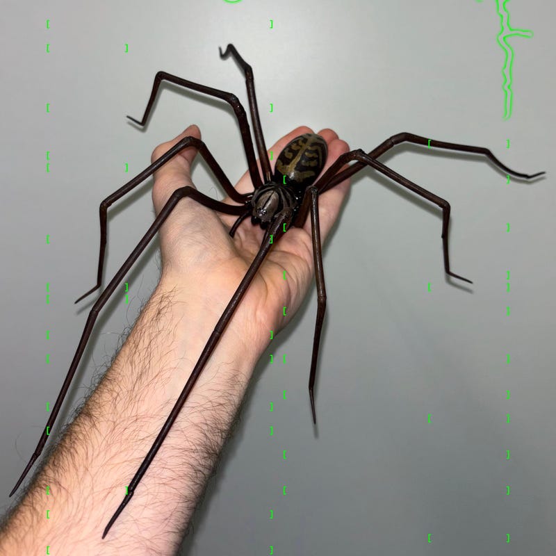 House Spider Sculpture - Etsy