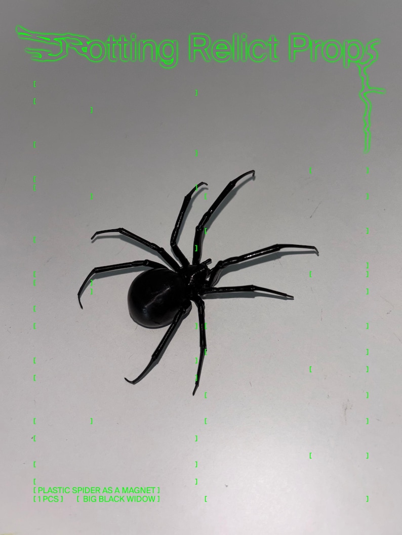 Plastic Spider as a Magnet | Realistic Giant Black Widow Fridge Magnet ...
