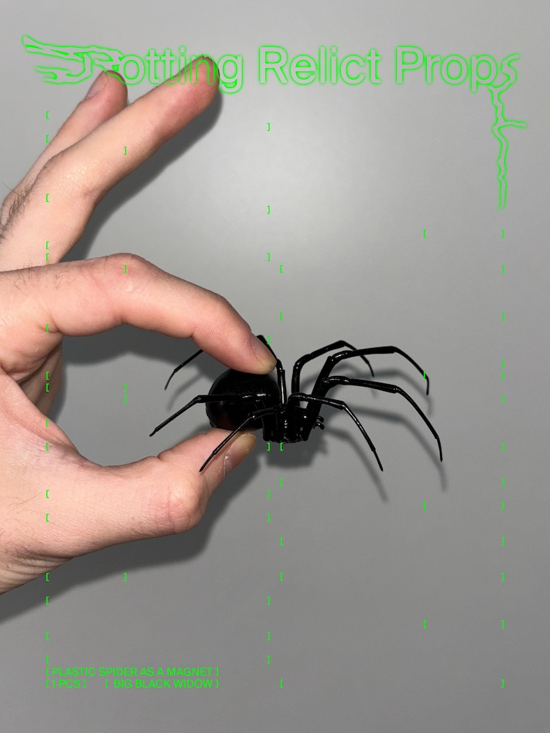 Plastic Spider as a Magnet | Realistic Giant Black Widow Fridge Magnet ...