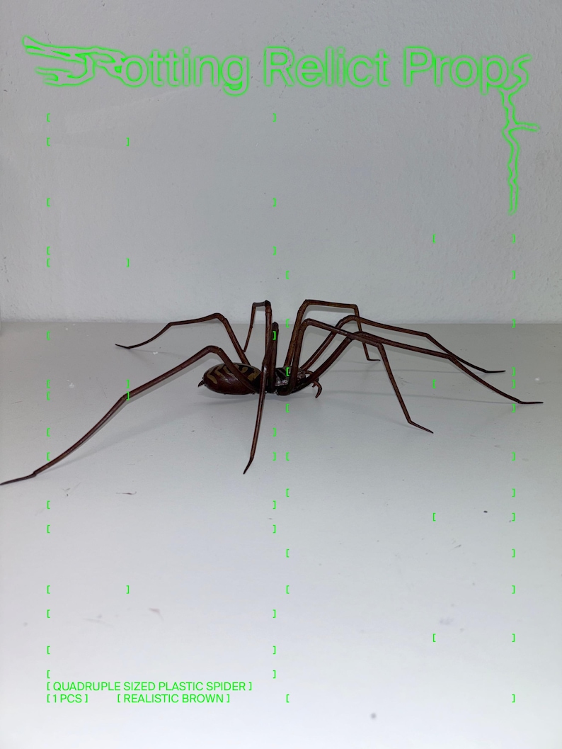 Giant Plastic Spider as Decoration | Quadruple Sized Realistic Giant ...