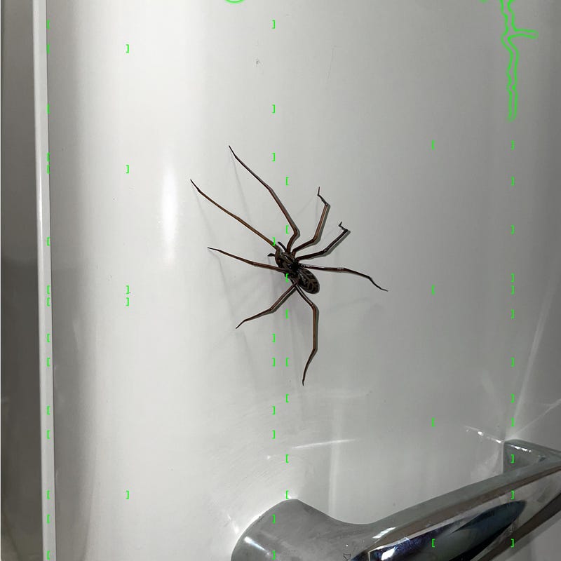 Realistic Fake Spider - Etsy