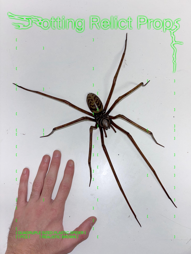 Giant Plastic Spider as Decoration | Quadruple Sized Realistic Giant ...