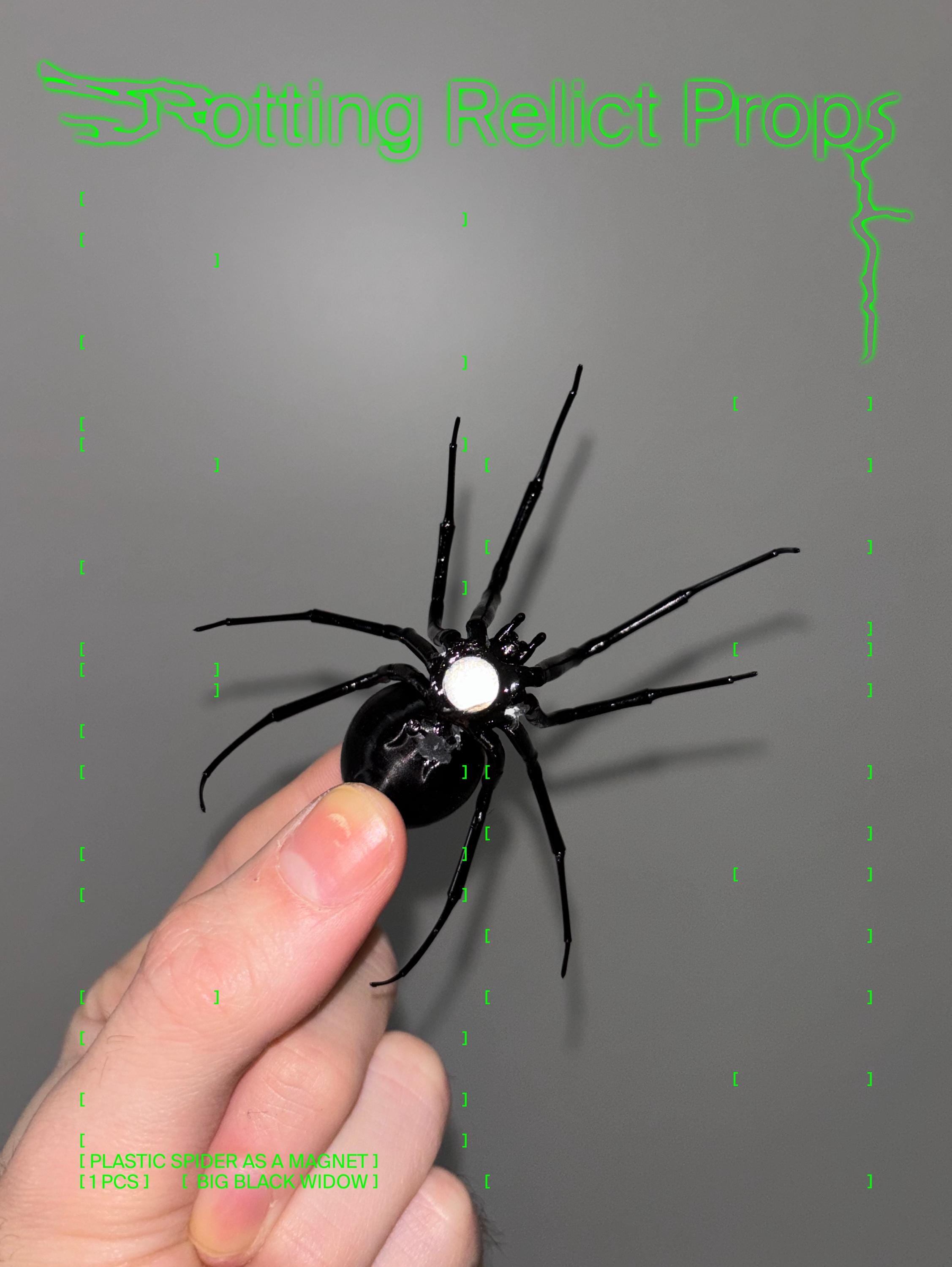 Plastic Spider as a Magnet | Realistic Giant Black Widow Fridge Magnet ...