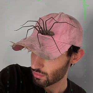 Giant Plastic Spider as Decoration | Double Sized Realistic Giant House ...