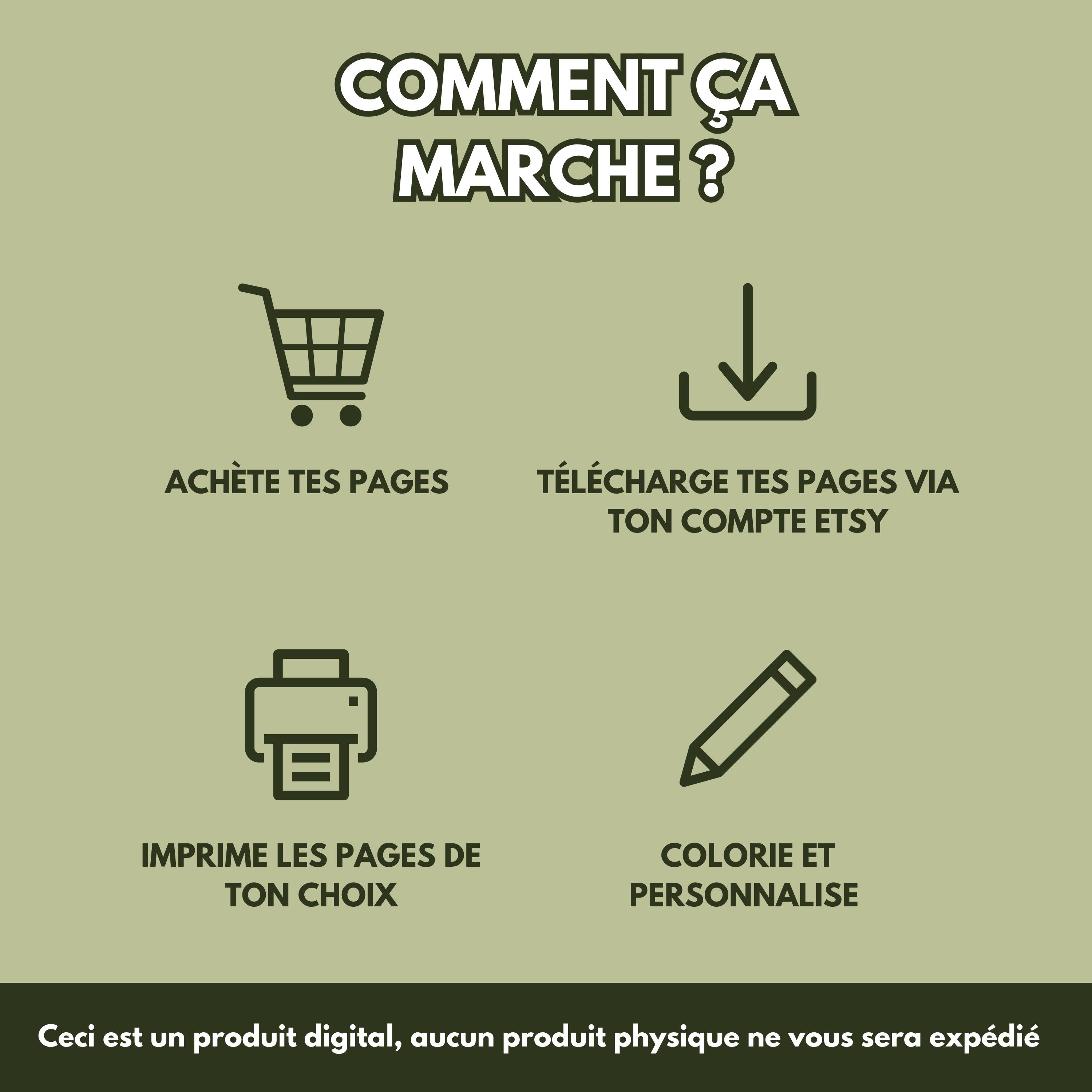 Printable Fairy Bullet Journal Pages in French / Pages for Bujo ...