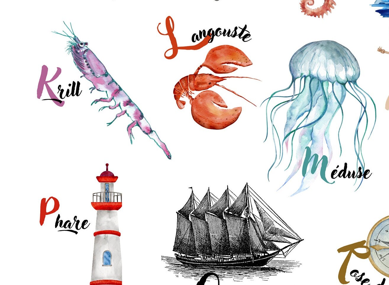 ABECEDARIO el alfabeto marino - Etsy México