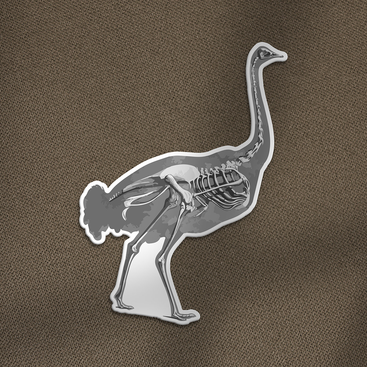 Ostrich X-ray Vinyl Sticker - Etsy