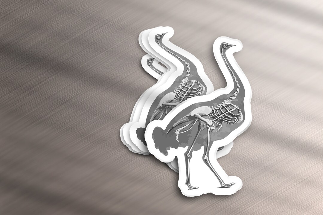 Ostrich X-ray Vinyl Sticker - Etsy