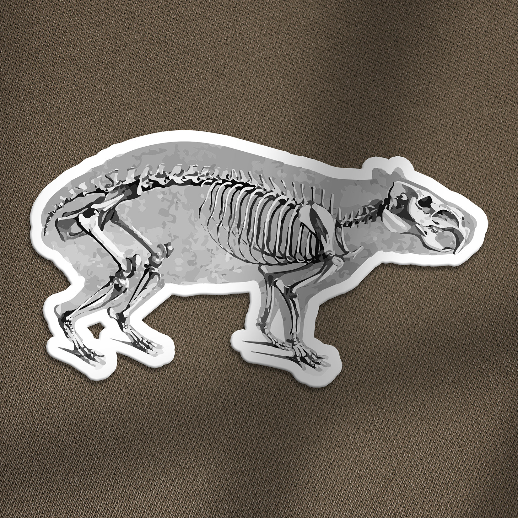 Capybara X-ray Vinyl Sticker - Etsy