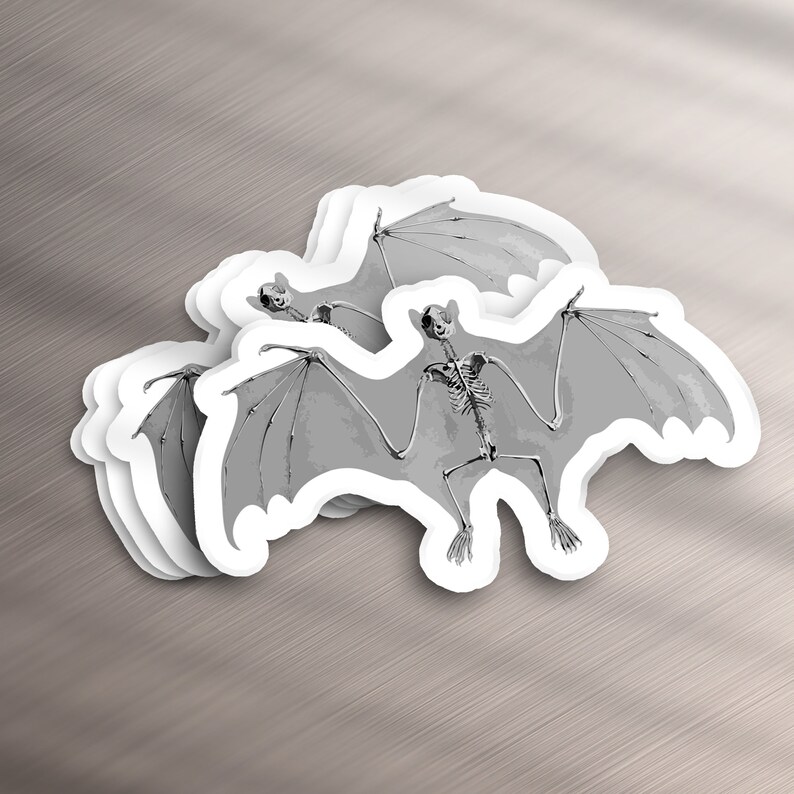 Bat X-ray Vinyl Sticker - Etsy