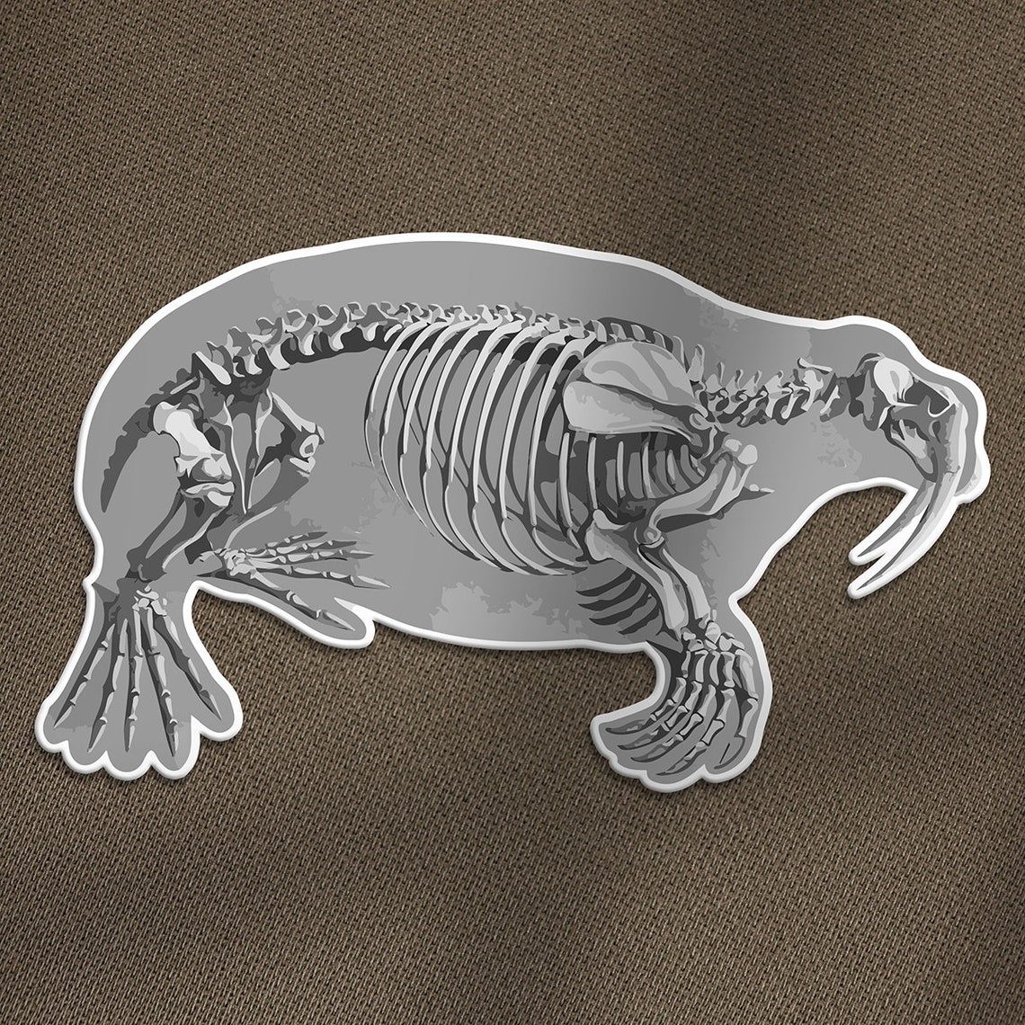 Walrus X-ray Vinyl Sticker - Etsy