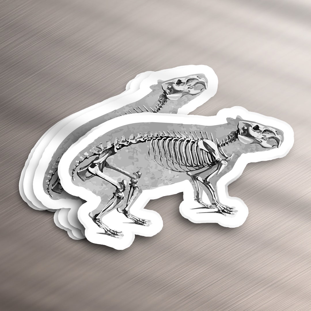 Capybara X-ray Vinyl Sticker - Etsy