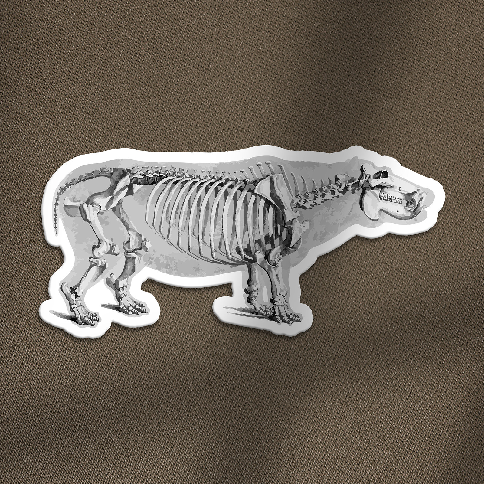 Hippo X-ray Vinyl Sticker - Etsy